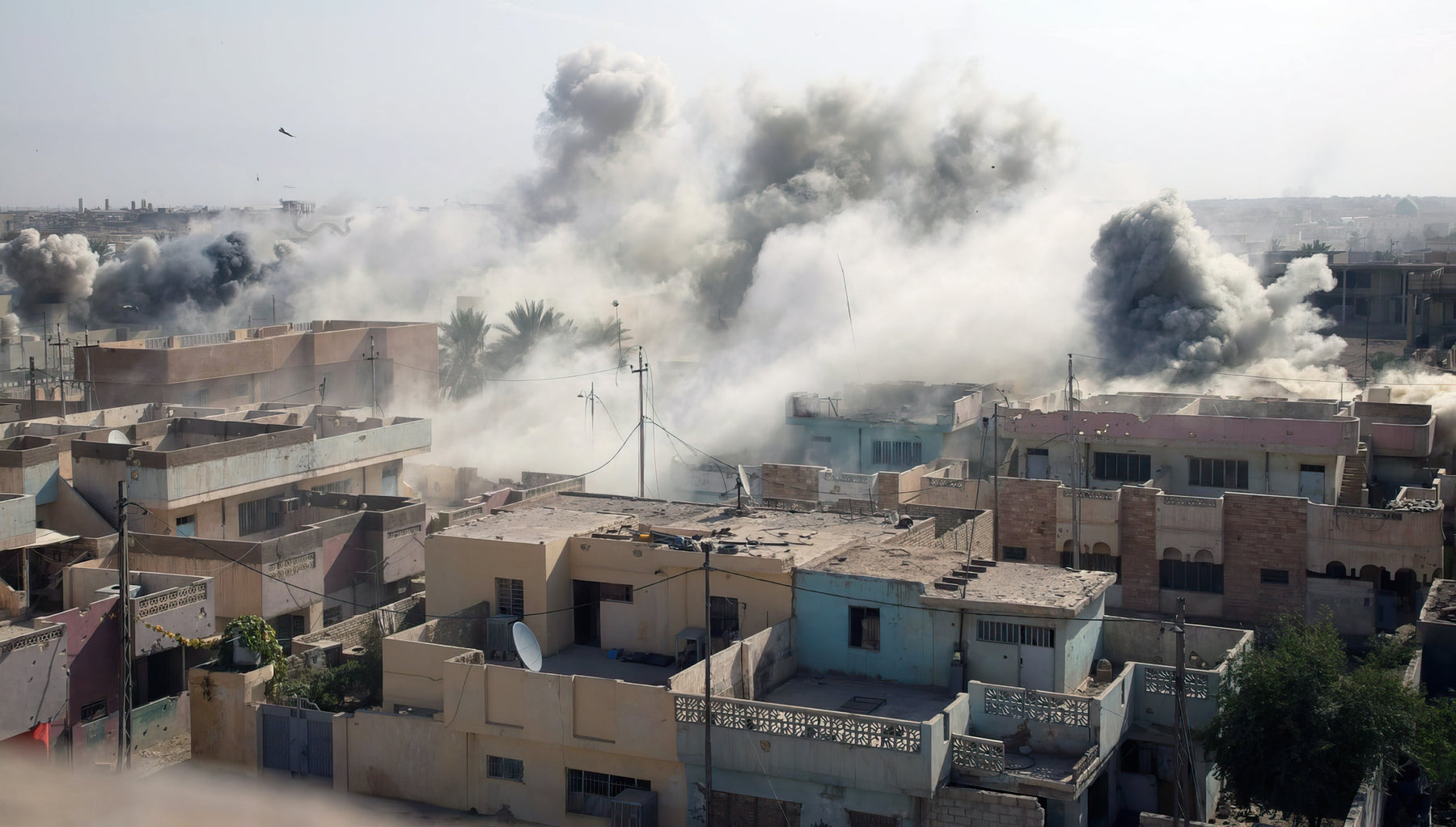 Battlefield Fallujah - About the Series