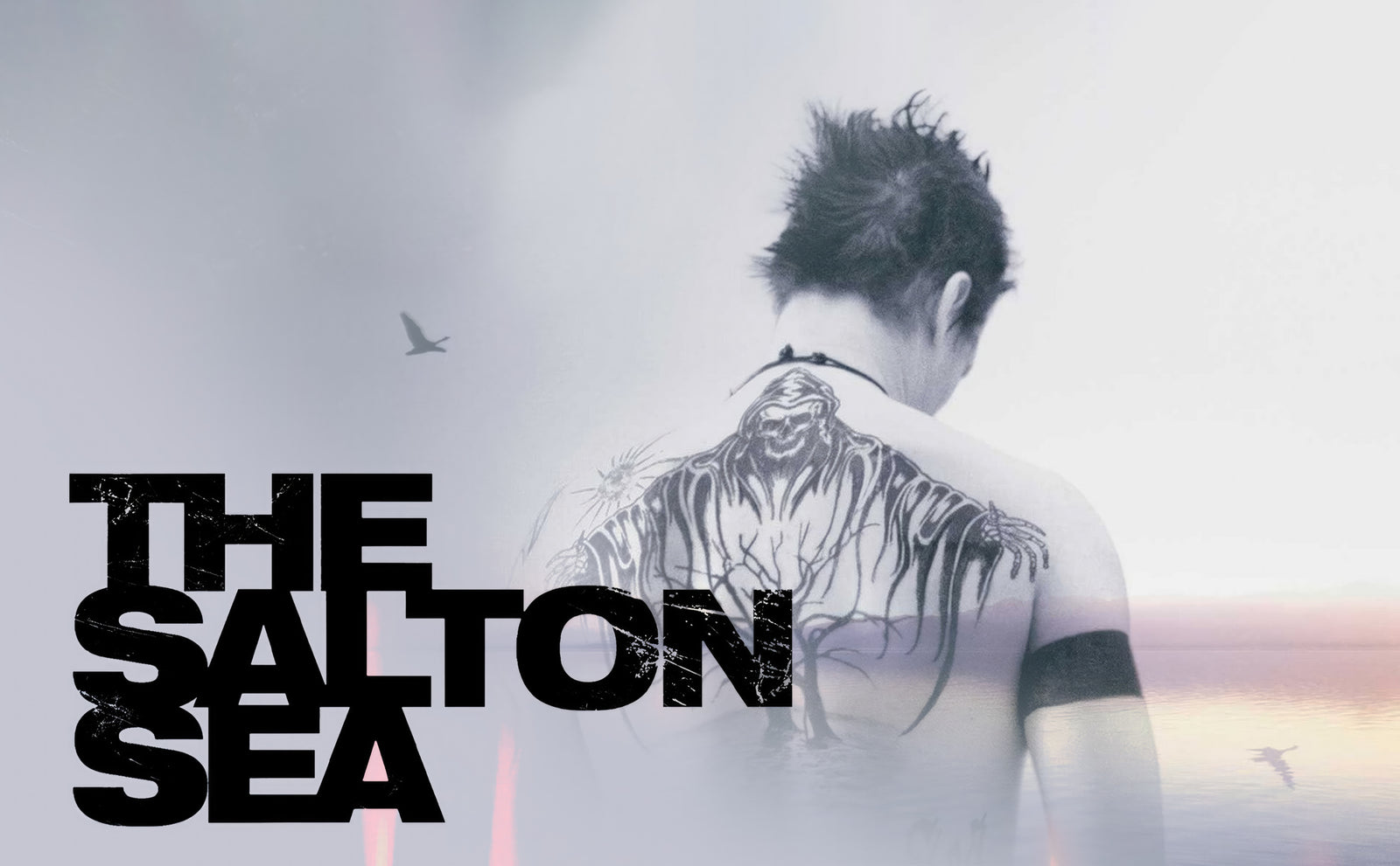 The Salton Sea (Script)